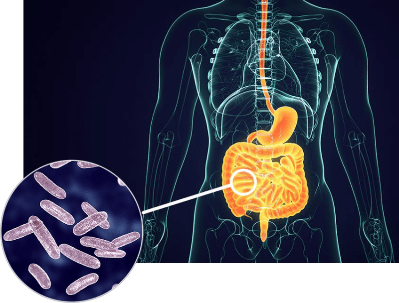 Anatomic Pathology – Analyze Pathology