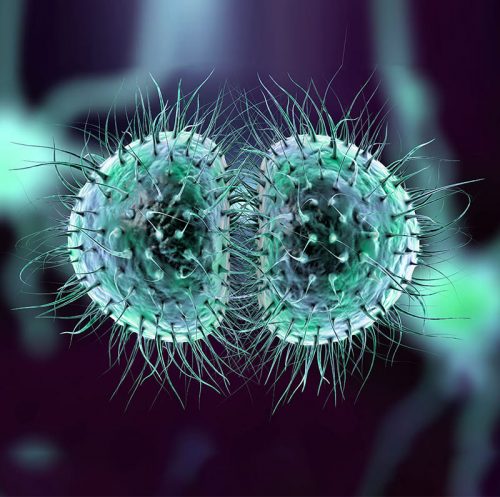 PCR Molecular Testing – Analyze Pathology